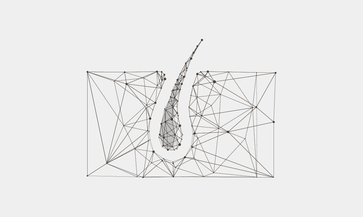 Hair Tissue Mineral Analysis (HTMA) | The Vitality CoLab